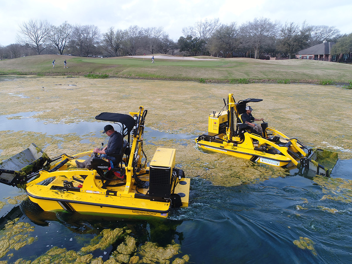 Lake Weeds | Algae Weed Control | Texas Lake Weeds